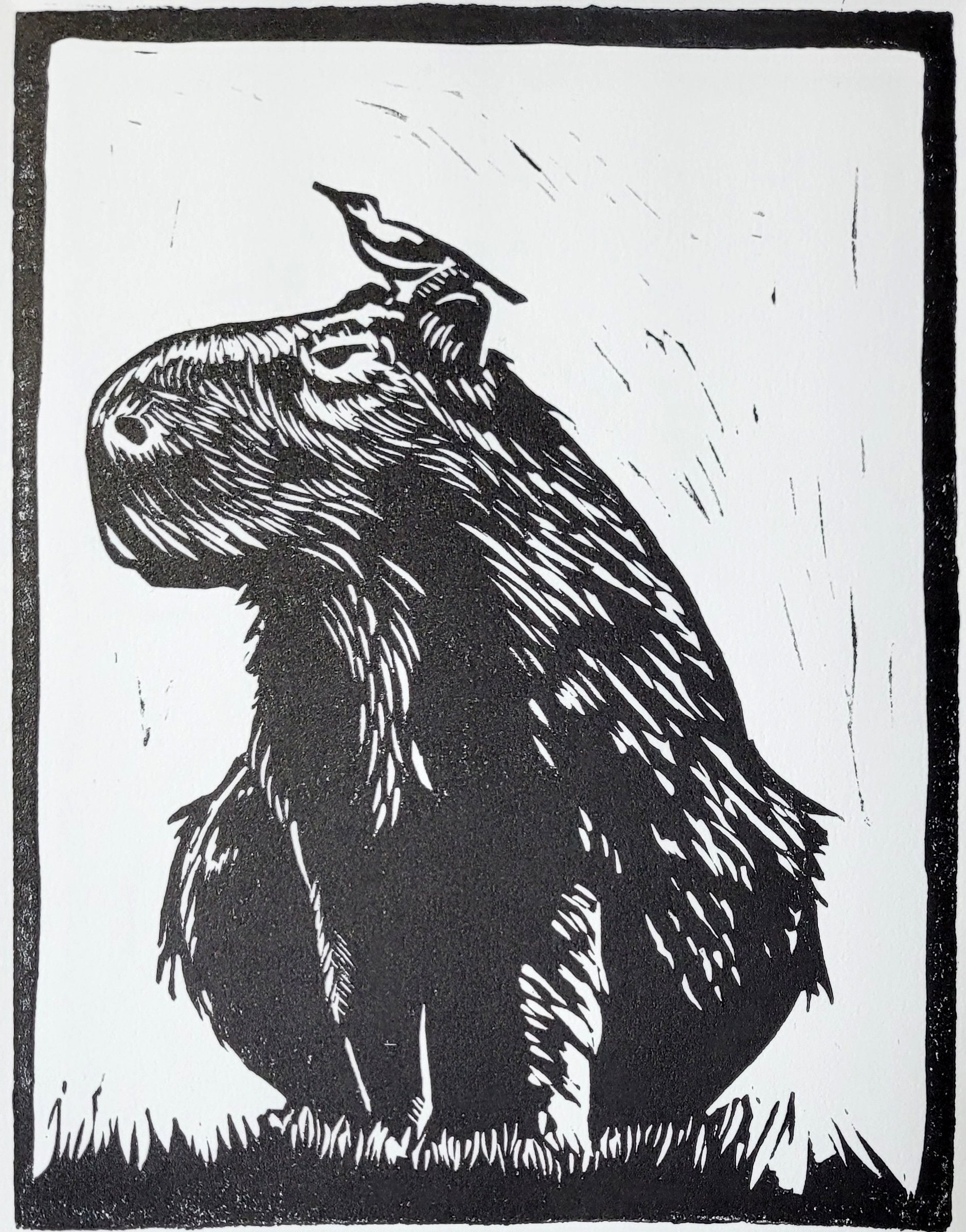 Capybara Original Linocut Print - Etsy