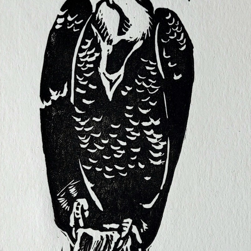 Turkey Vulture Print - Etsy