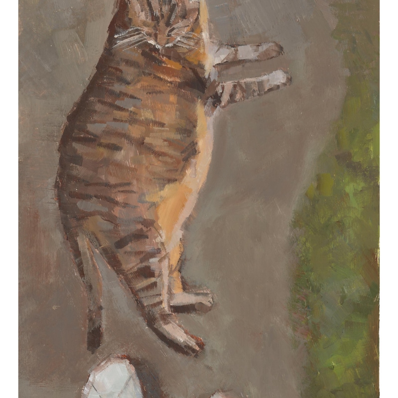 Lying Cat - Etsy