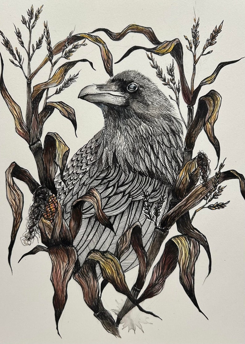 Crow Drawing, Crow Illustration, Gothic Art, Dark Art, Goth, Animal ...