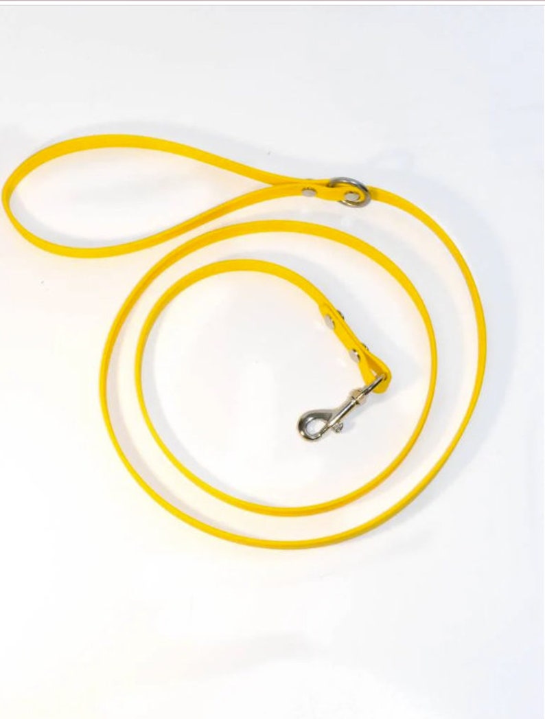 Custom Color Waterproof Biothane Dog Leash | 1/2 Wide - Etsy