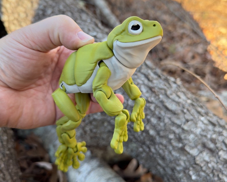 White's Tree Frog Flexi Articulated Fidget Toy 3D Printed Matmire Makes ...