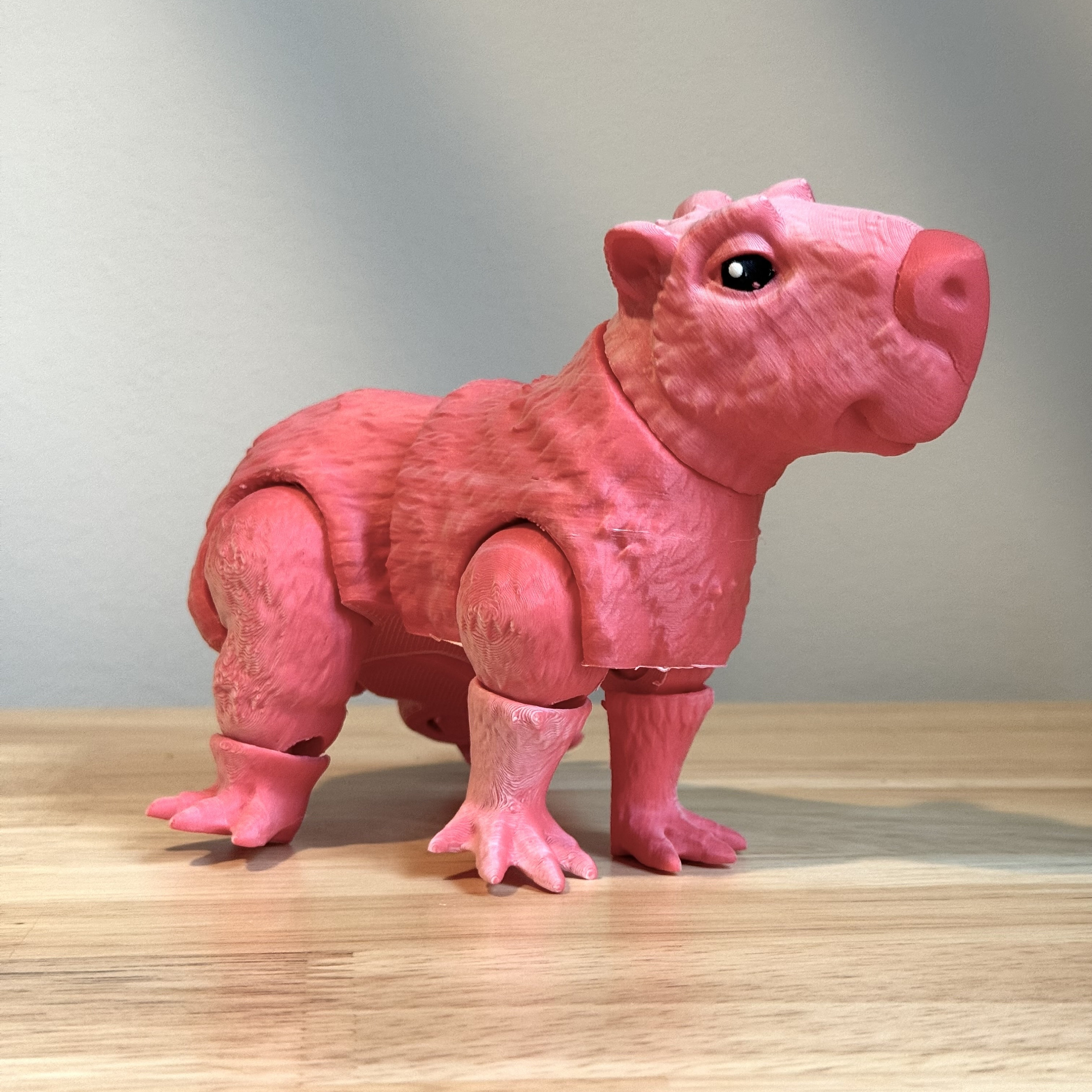 Capybara Flexi Articulated Fidget Toy 3D Printed Matmire Makes - Etsy