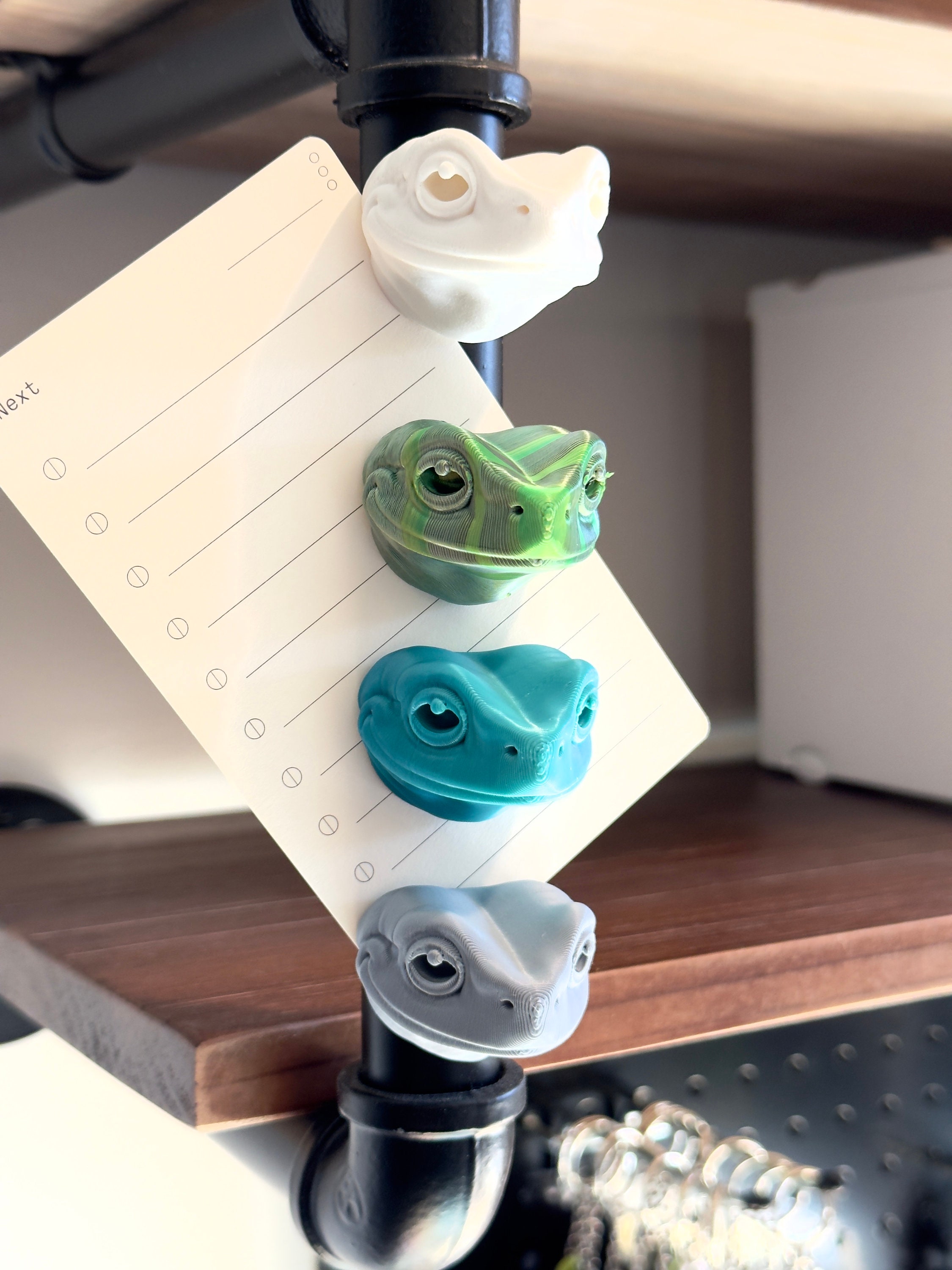 White's Tree Frog Magnet 3D Printed Matmire Makes - Etsy