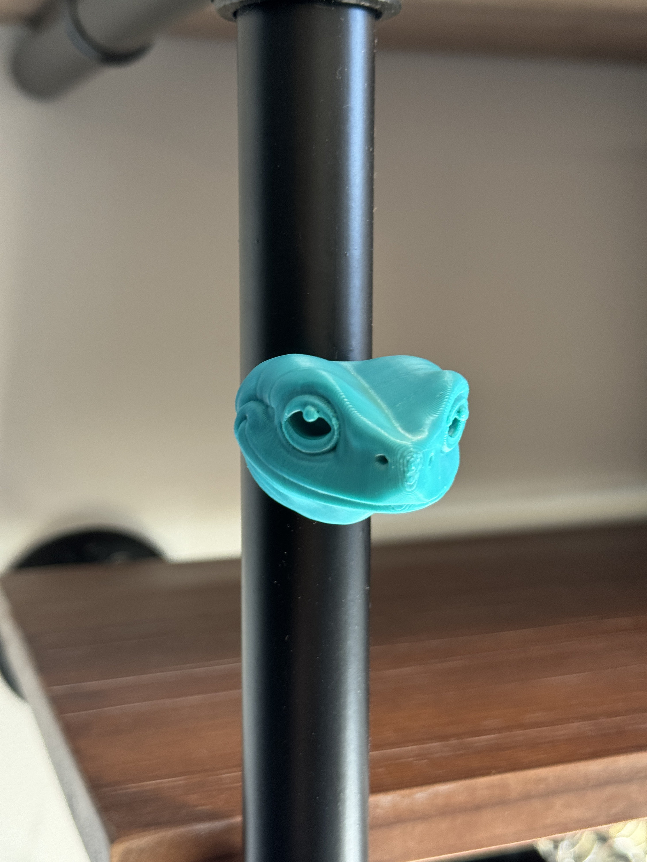 White's Tree Frog Magnet 3D Printed Matmire Makes - Etsy