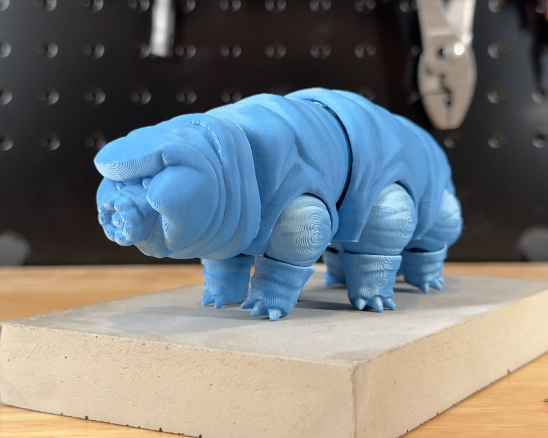 Tardigrade water Bear Flexi Articulated Fidget Toy 3D Printed Matmire ...