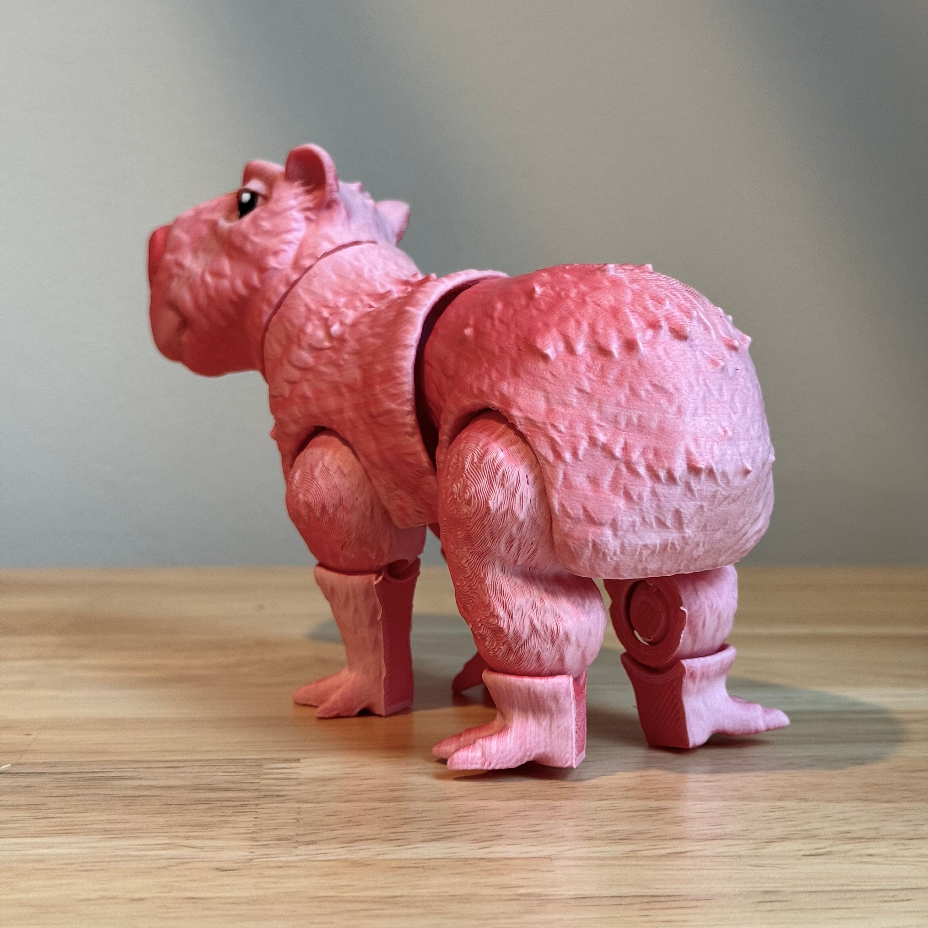 Capybara Flexi Articulated Fidget Toy 3D Printed Matmire Makes - Etsy