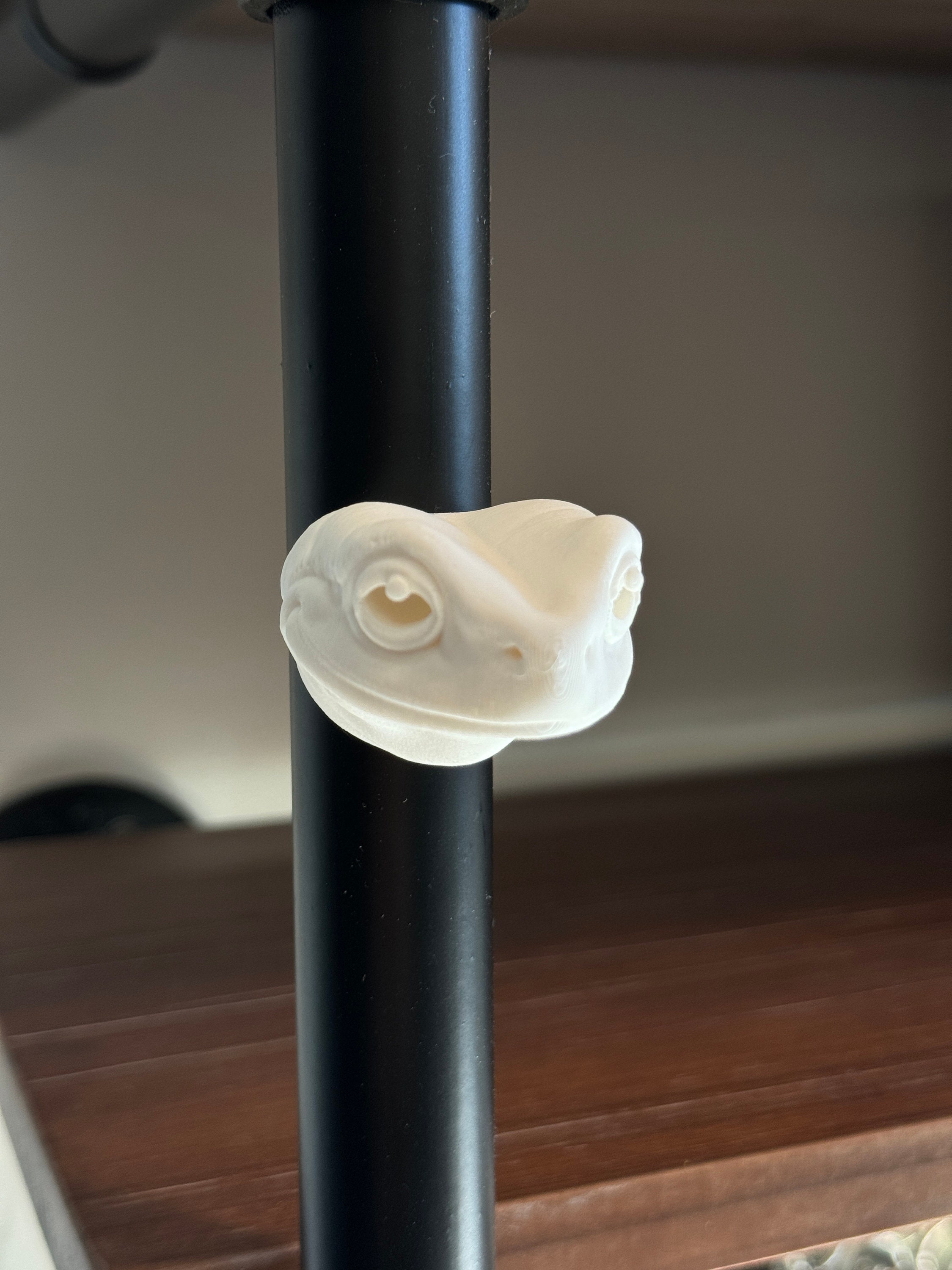 White's Tree Frog Magnet 3D Printed Matmire Makes - Etsy