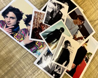 Saint Timothée Chalamet Sticker BOGOF Buy One Get One Free - Etsy