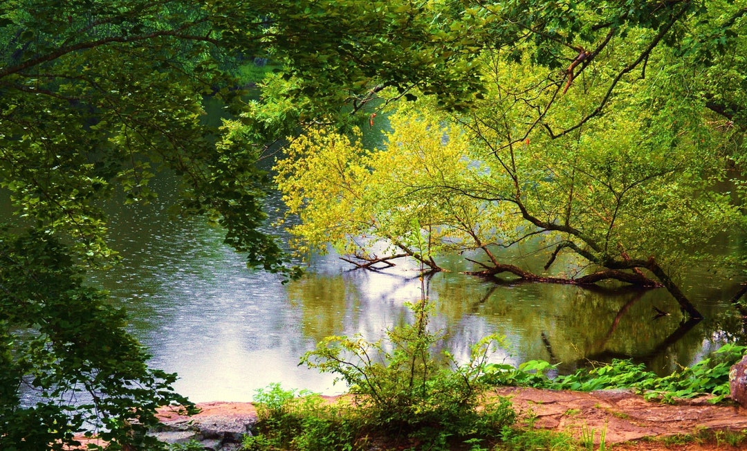 20. Light Rainfall at Dawn Color Landscape Photos, Color Waterscape ...