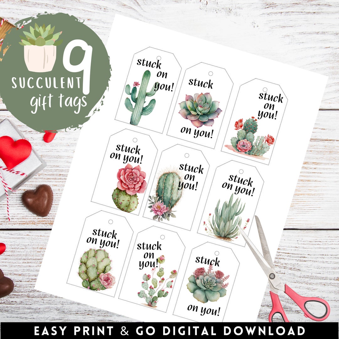 Succulent Gift Tags, Stuck on You, Printable Tags, Classroom Valentines ...