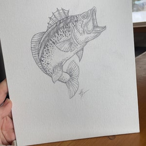 Bass Fish Pencil Drawing on Canvas Framed - Etsy