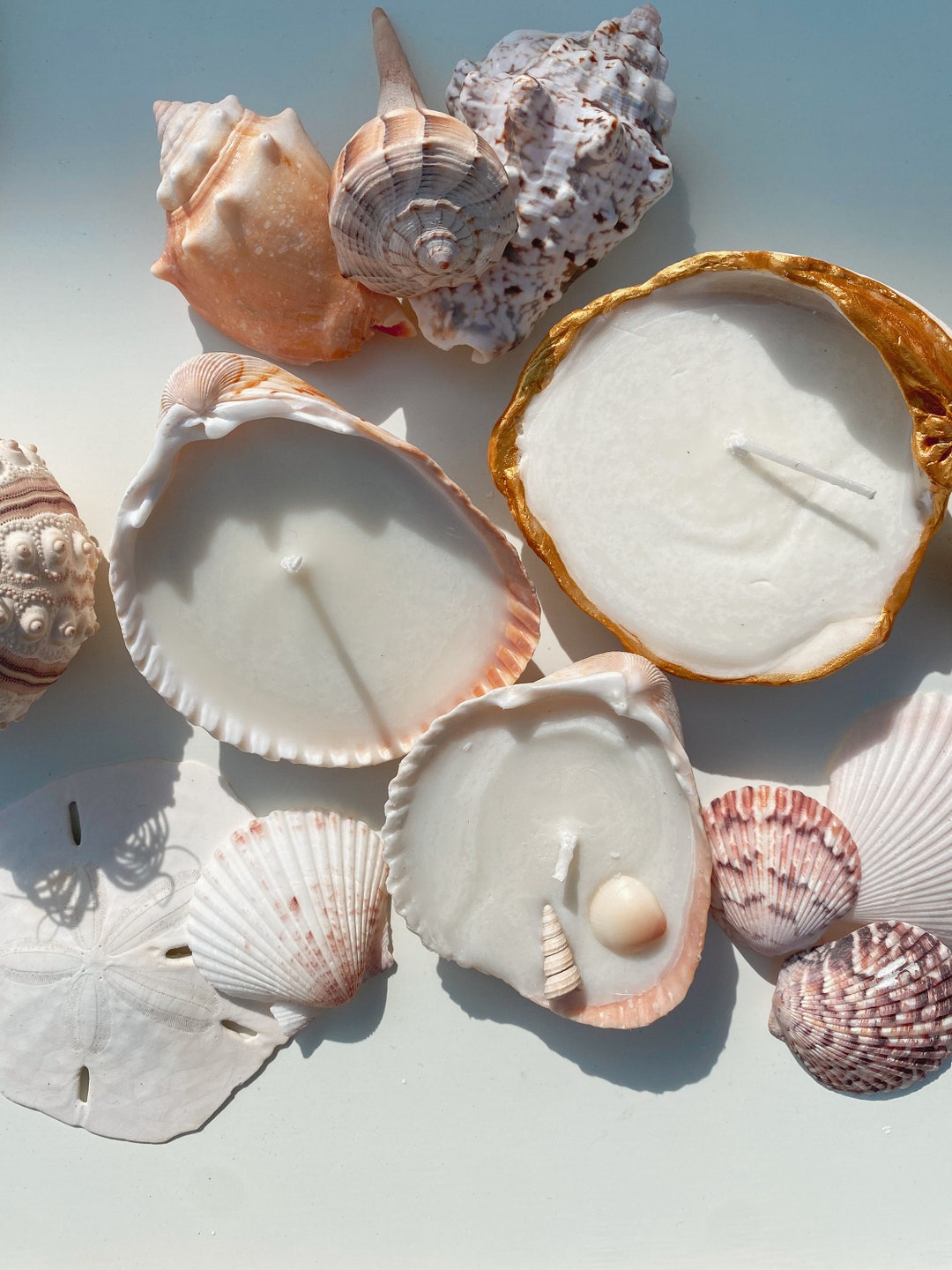 Handmade Seashell Candle | Ocean-inspired Home Decor | Beach Candle ...
