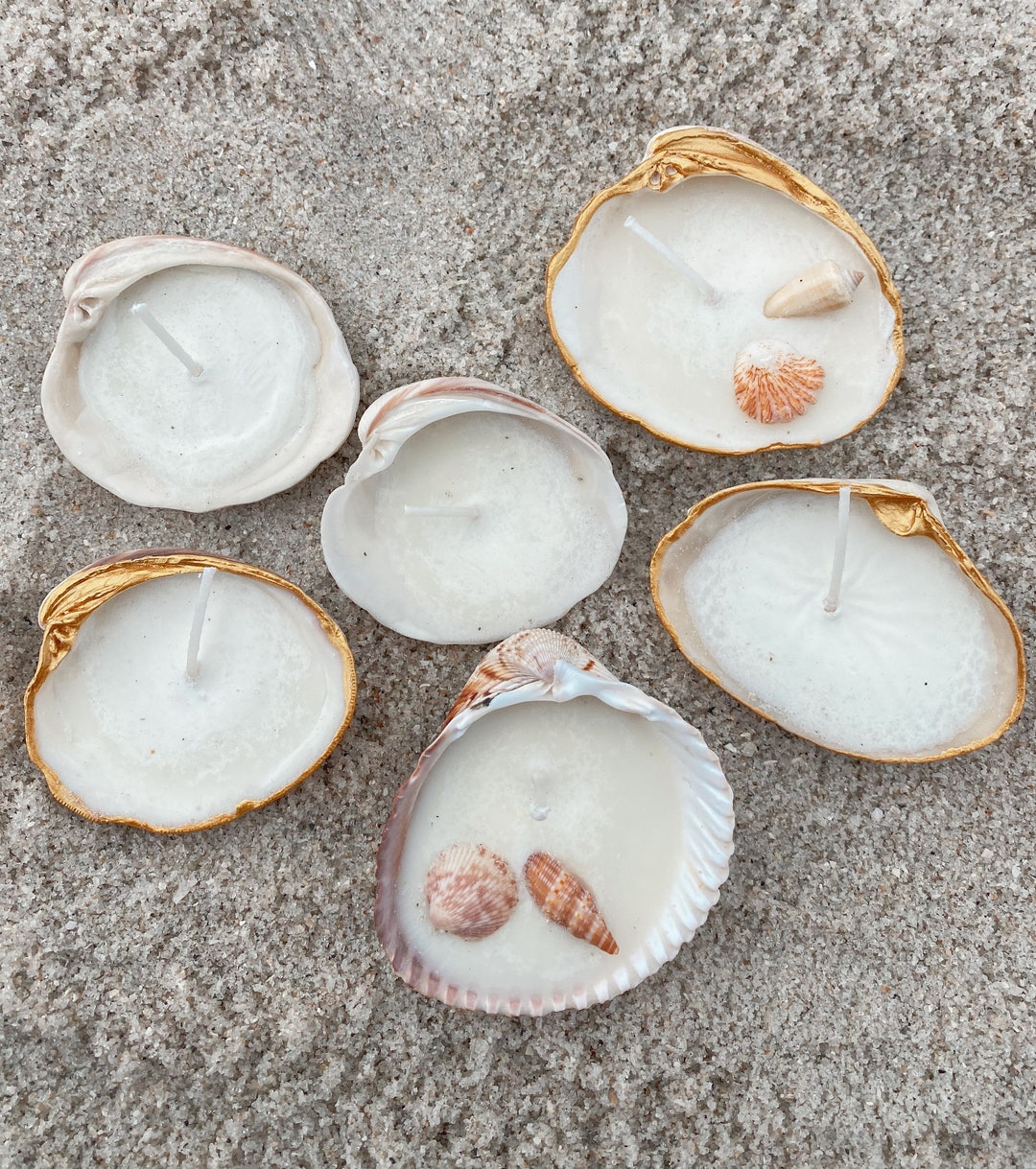 Tealight Seashell Candle - Etsy