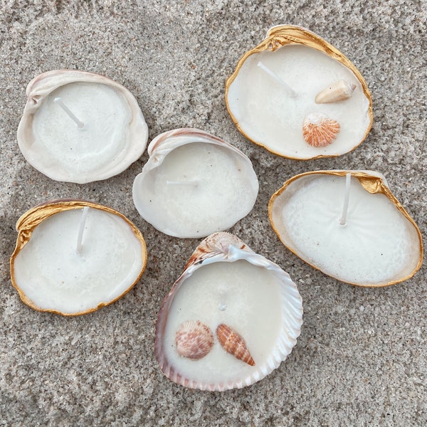 Seashell Candle - Etsy