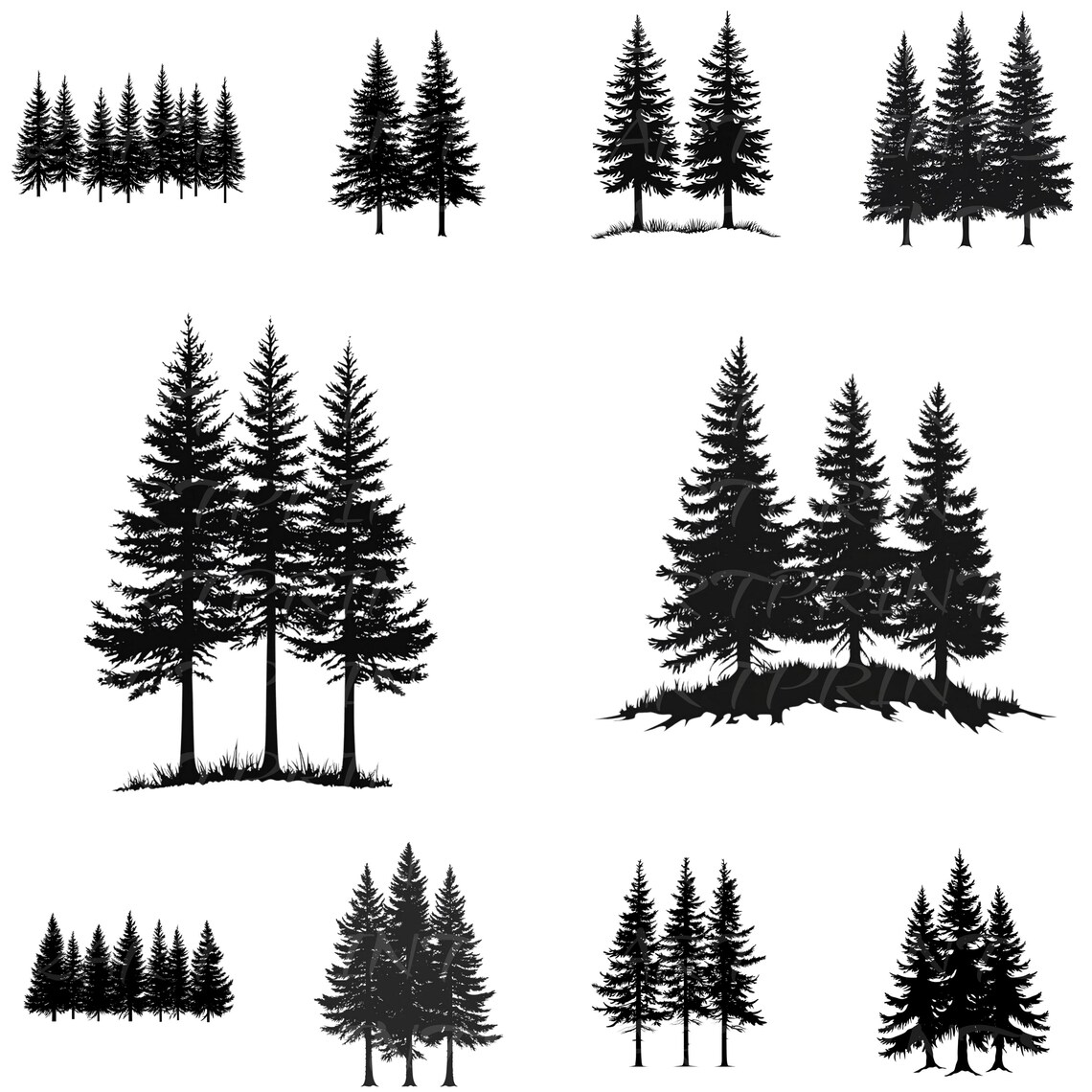 Tree Forest Silhouette SVG PNG Clipart Bundle, Tall Pine & Spruce Trees ...