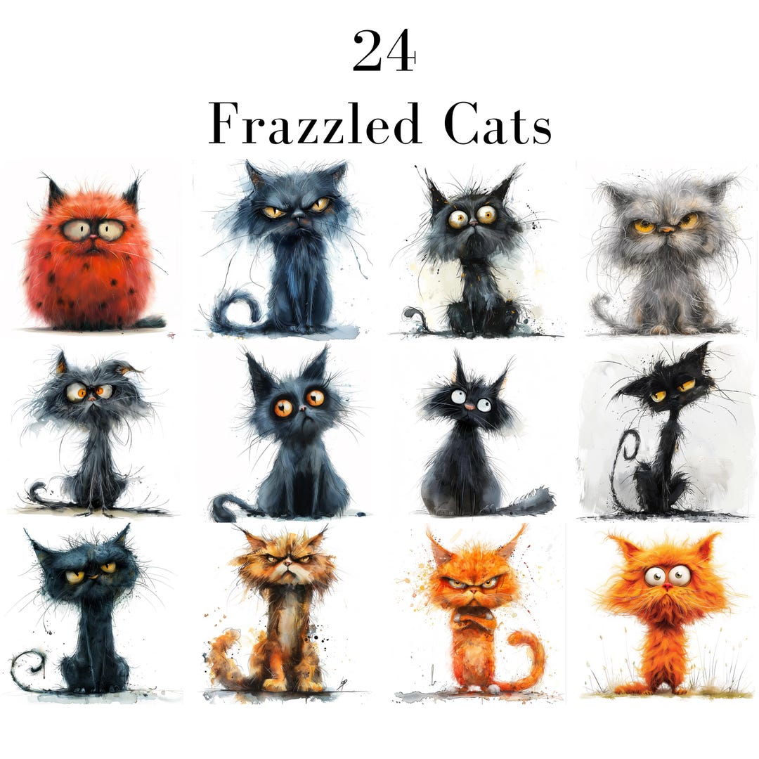 24 Frazzled Cat Clipart Frazzled Cat Png Frazzled Cat Svg Frazzle Cat ...