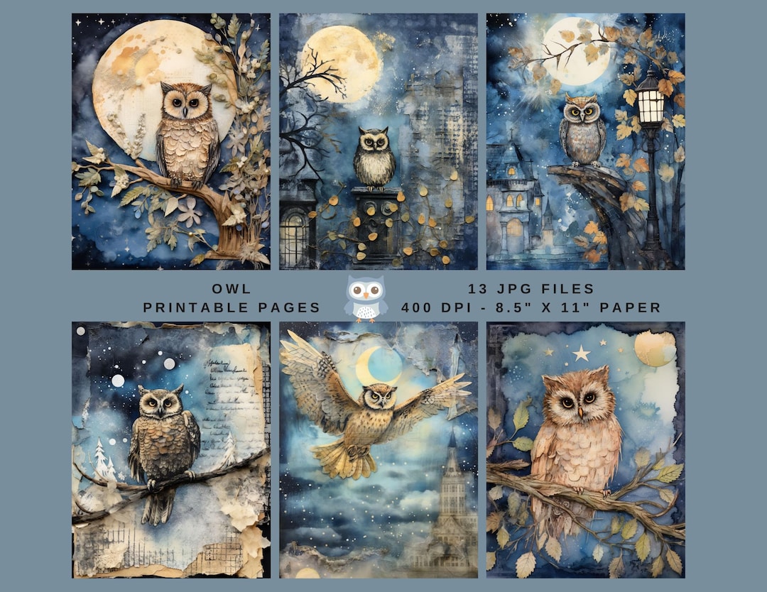 Owl Printable, Owls Printable, Owl Print, Owl Scrapbook Paper, Owls ...