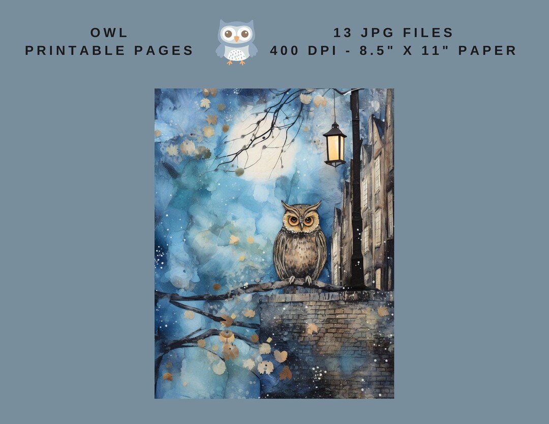 13 Owls Digital Paper, Owl Printable, Owls Printable, Owl Print, Owl ...