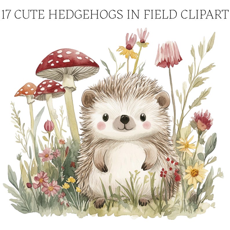 Cute Hedgehog Png Clipart Bundle | for Scrapbook Images, Hedgehog ...