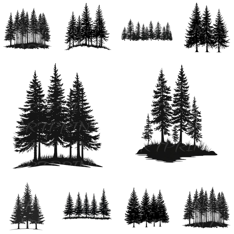 85 PNG SVG Forest Trees Vector, Tall Pines Silhouette, Spruce Forest ...