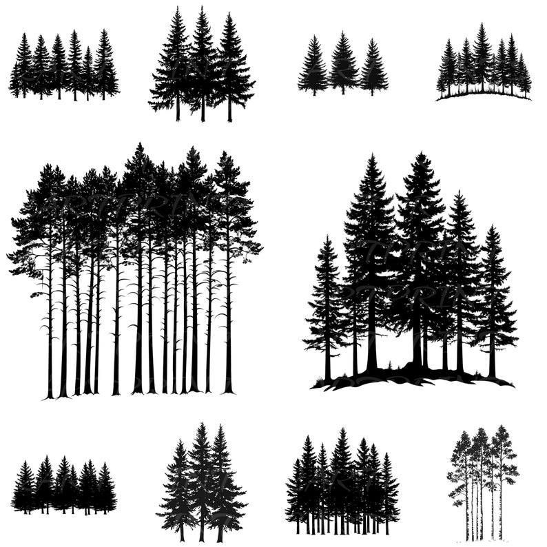 Tree Forest Silhouette SVG PNG Clipart Bundle, Tall Pine & Spruce Trees ...