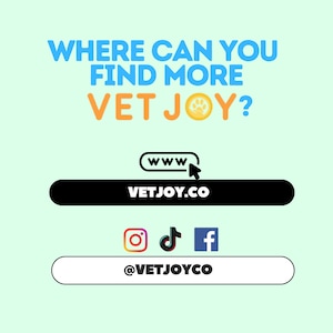 Digital Vet Med Case Log Template: Veterinary Patient Notes (PDF) - Etsy