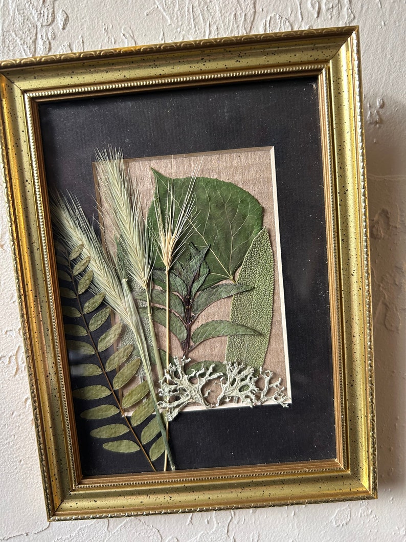 Pressed Flower Art, Framed Dried Flowers, Pressed Wild Flowers, Pressed ...