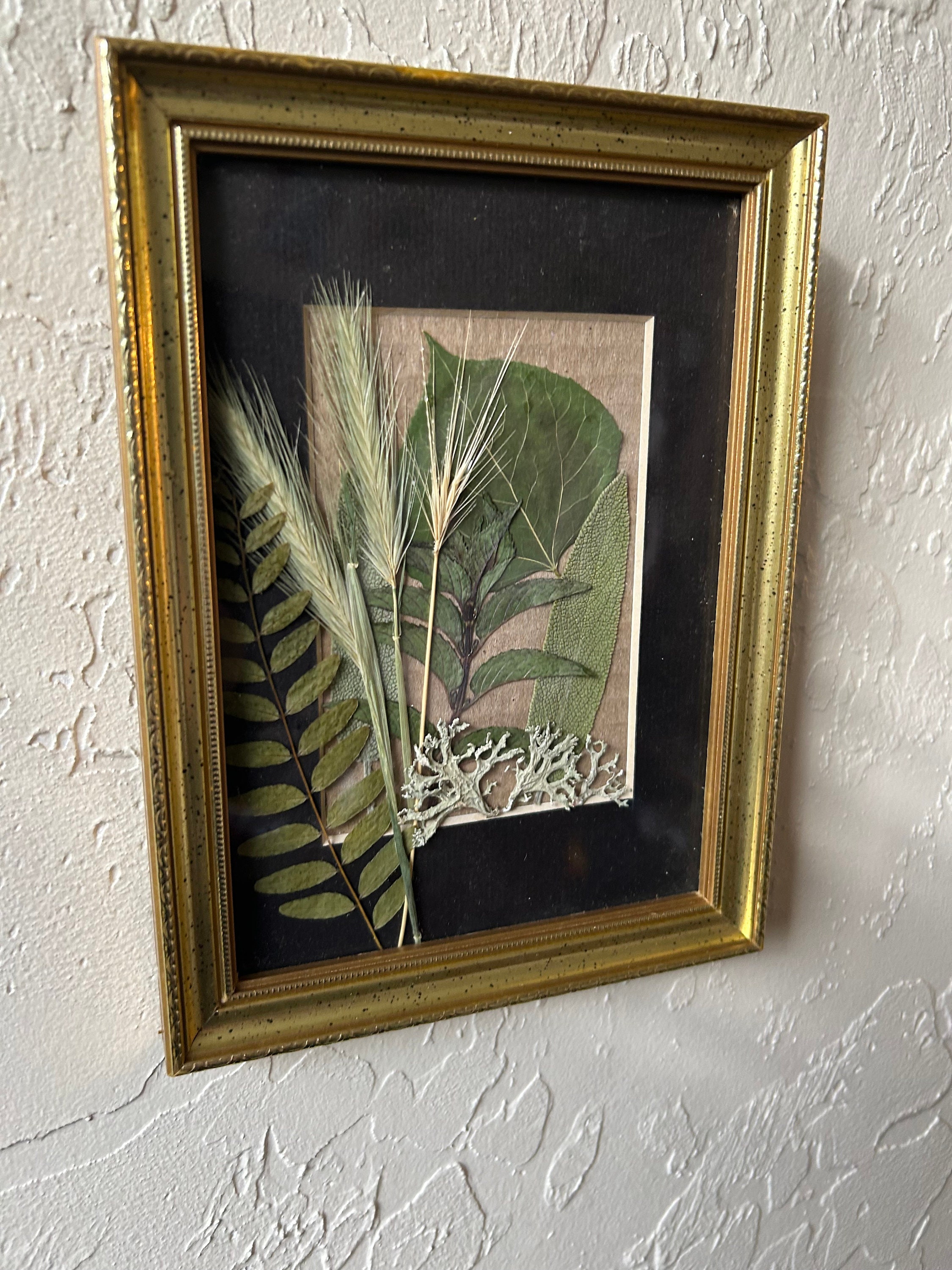 Pressed Flower Art, Framed Dried Flowers, Pressed Wild Flowers, Pressed ...