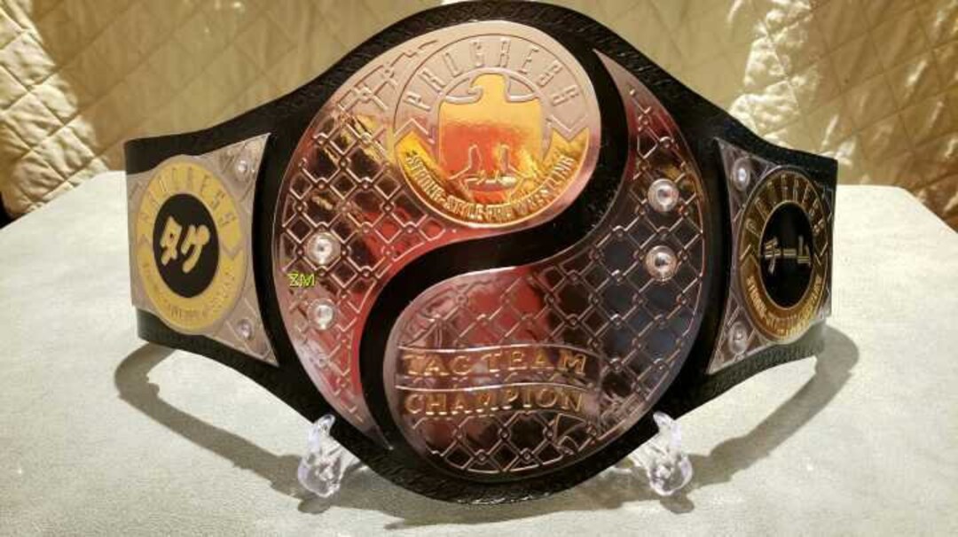 Progress Tag Team World Heavyweight Wrestling Championship Wwe Replica ...