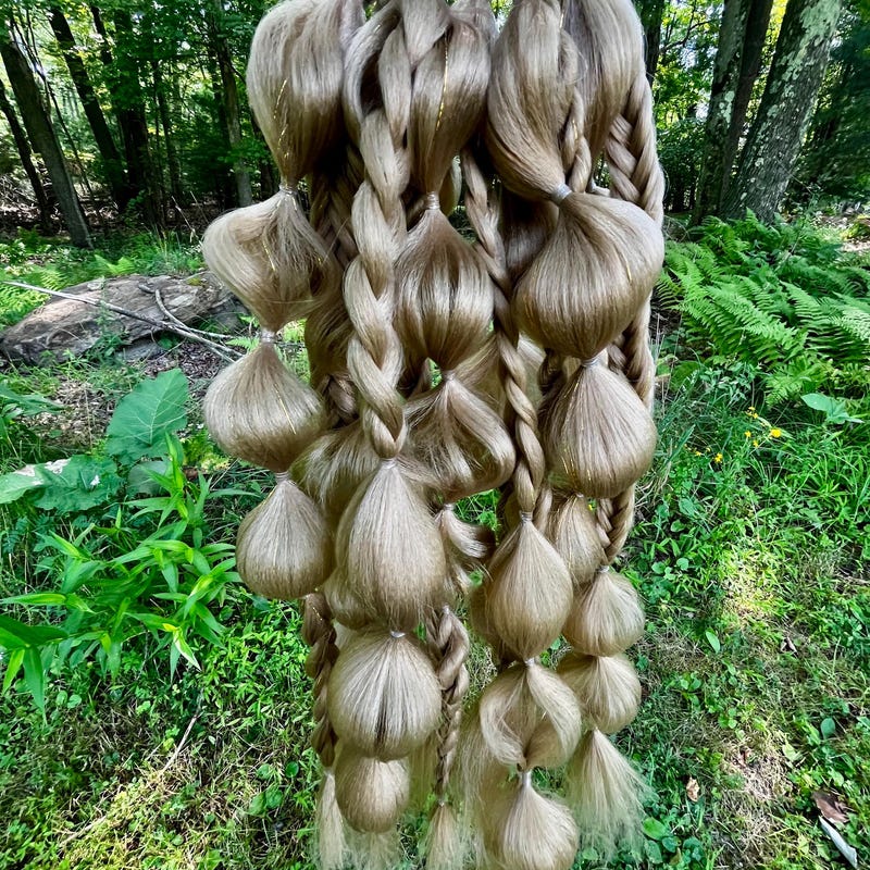 Elias duarte lopez dinosaur hapush braids no - Etsy Canada