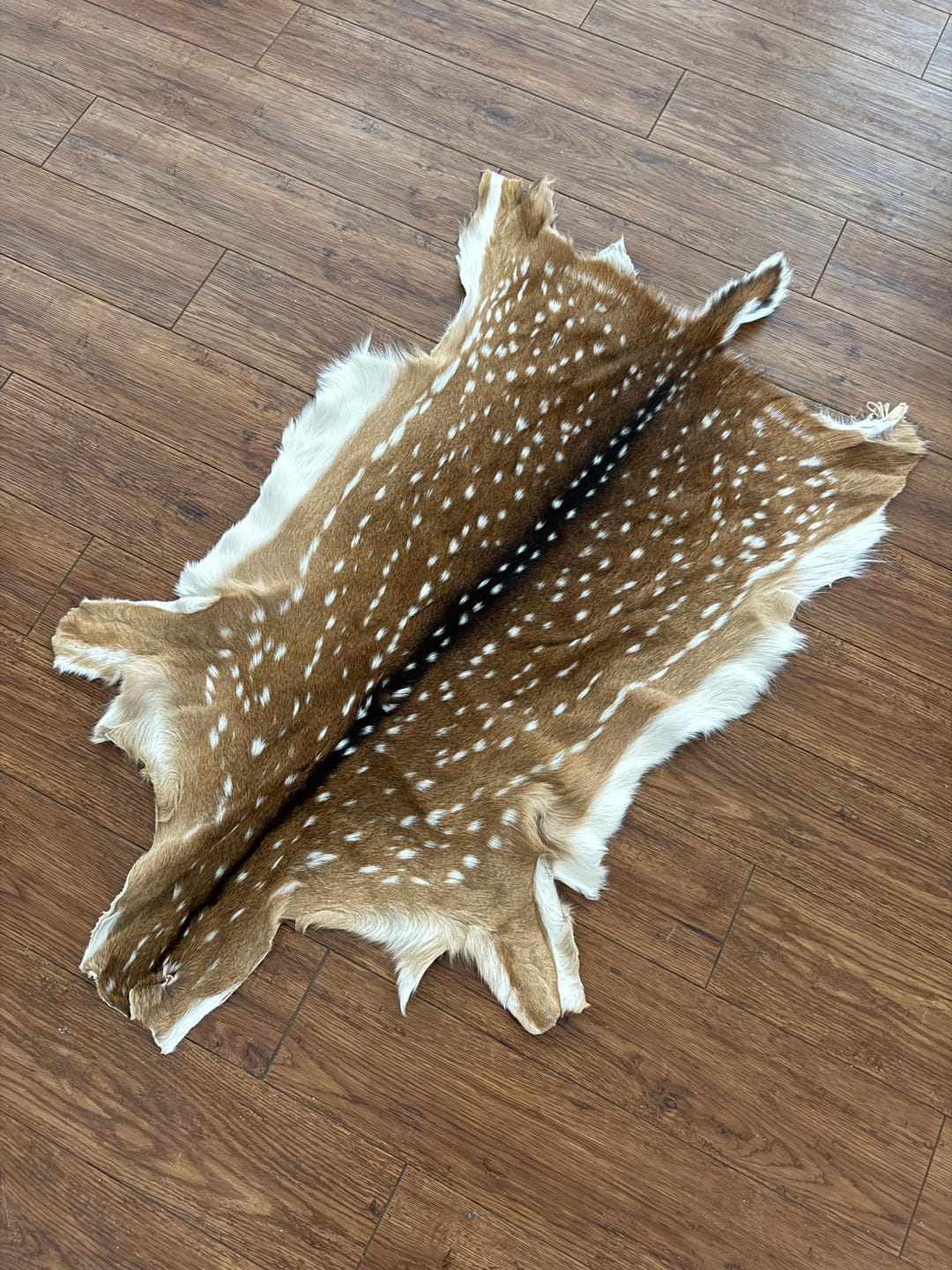 Tanned Axis Hide | Genuine Deer Hide Rug | Texas Hill Country - Etsy