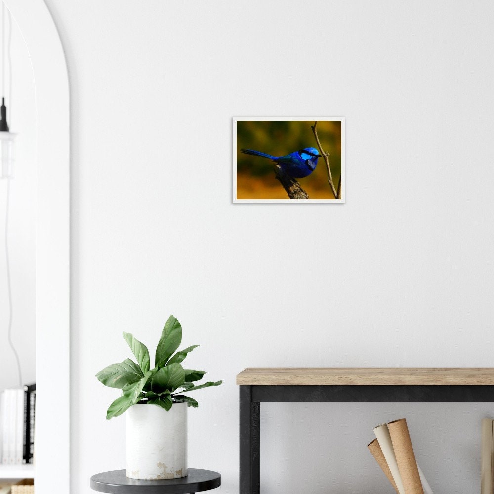 Blue Bird Framed Print Australian Nature Wall Art - Etsy