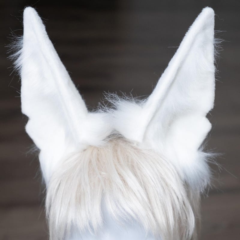 White Furry Ears Fox - Etsy