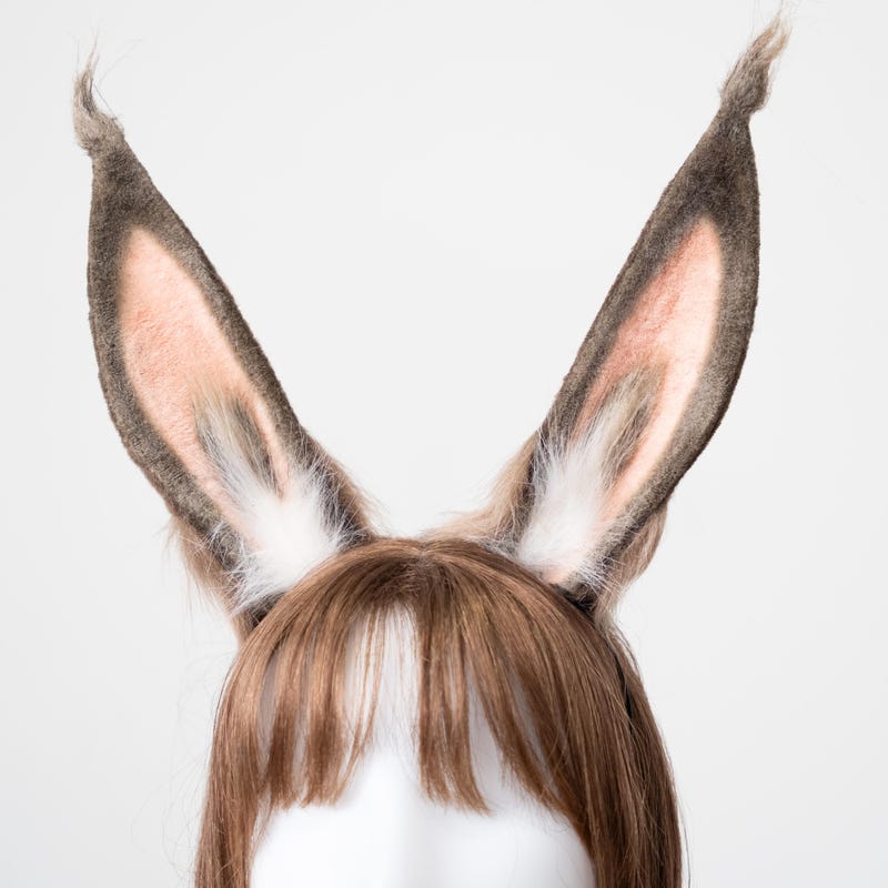 Realistic Bunny Ears - Etsy