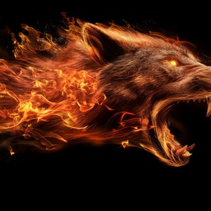 50 Werewolves Fire Themed Images for Sports Photo Backgrounds ...