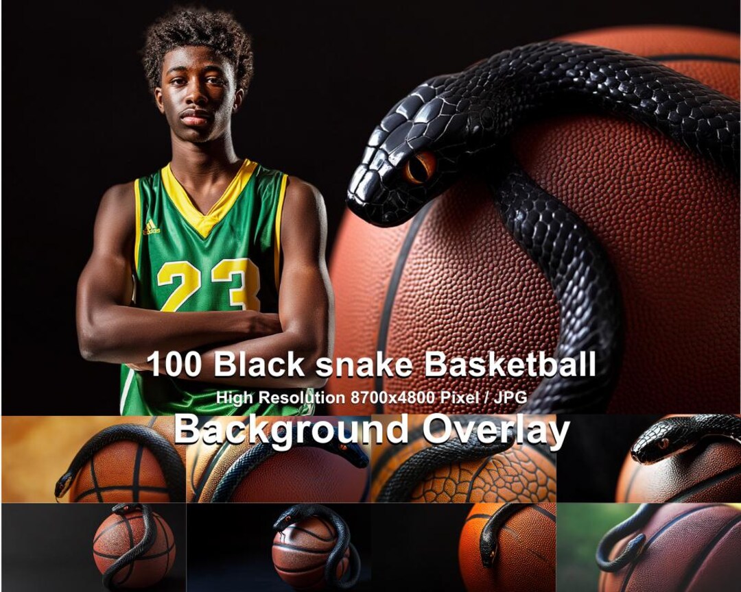 Black Snake Basketball Photo Backgrounds: Sports Digital Backdrops ...