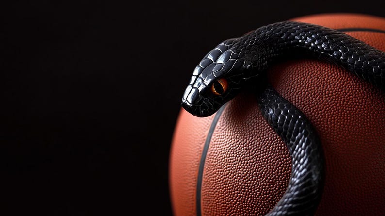 Black Snake Basketball Photo Backgrounds: Sports Digital Backdrops ...
