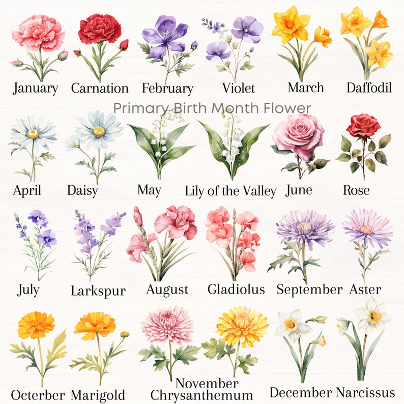 Birth Month Floral Clipart, Watercolor Birth Months Flower Clipart ...