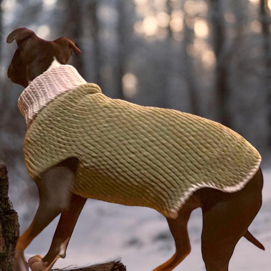 PDF Pattern! Cozy Velvet Dog Sweater for Bigger Dogs - Etsy