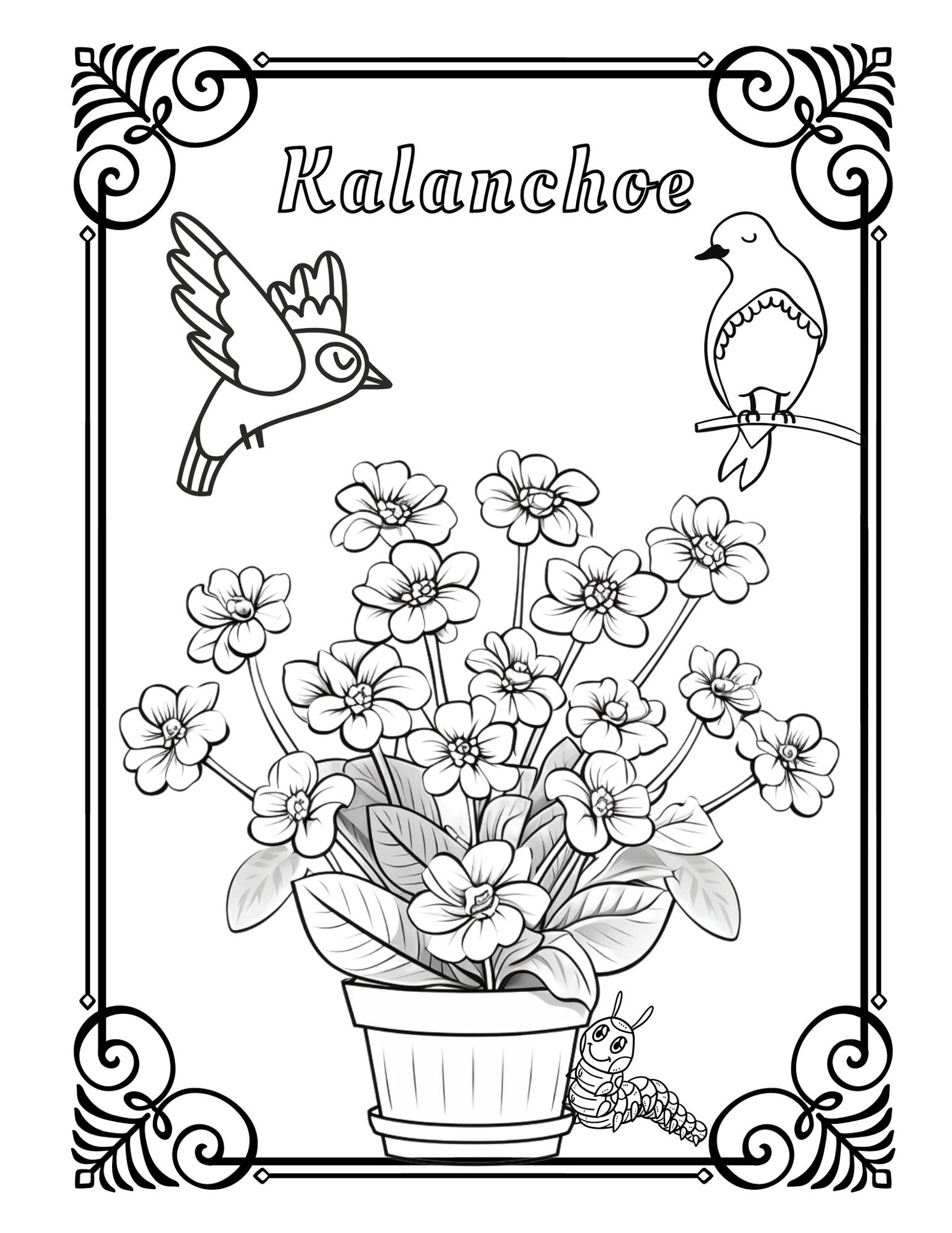 Flowers A to Z Adult Coloring Book, Floral Coloring Pages, Stress ...