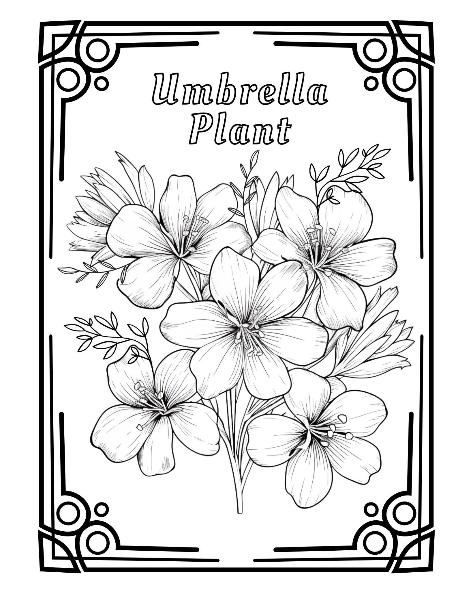 Flowers A to Z Adult Coloring Book, Floral Coloring Pages, Stress ...