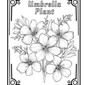 Flowers A to Z Adult Coloring Book, Floral Coloring Pages, Stress ...