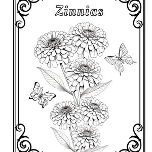 Flowers A to Z Adult Coloring Book, Floral Coloring Pages, Stress ...
