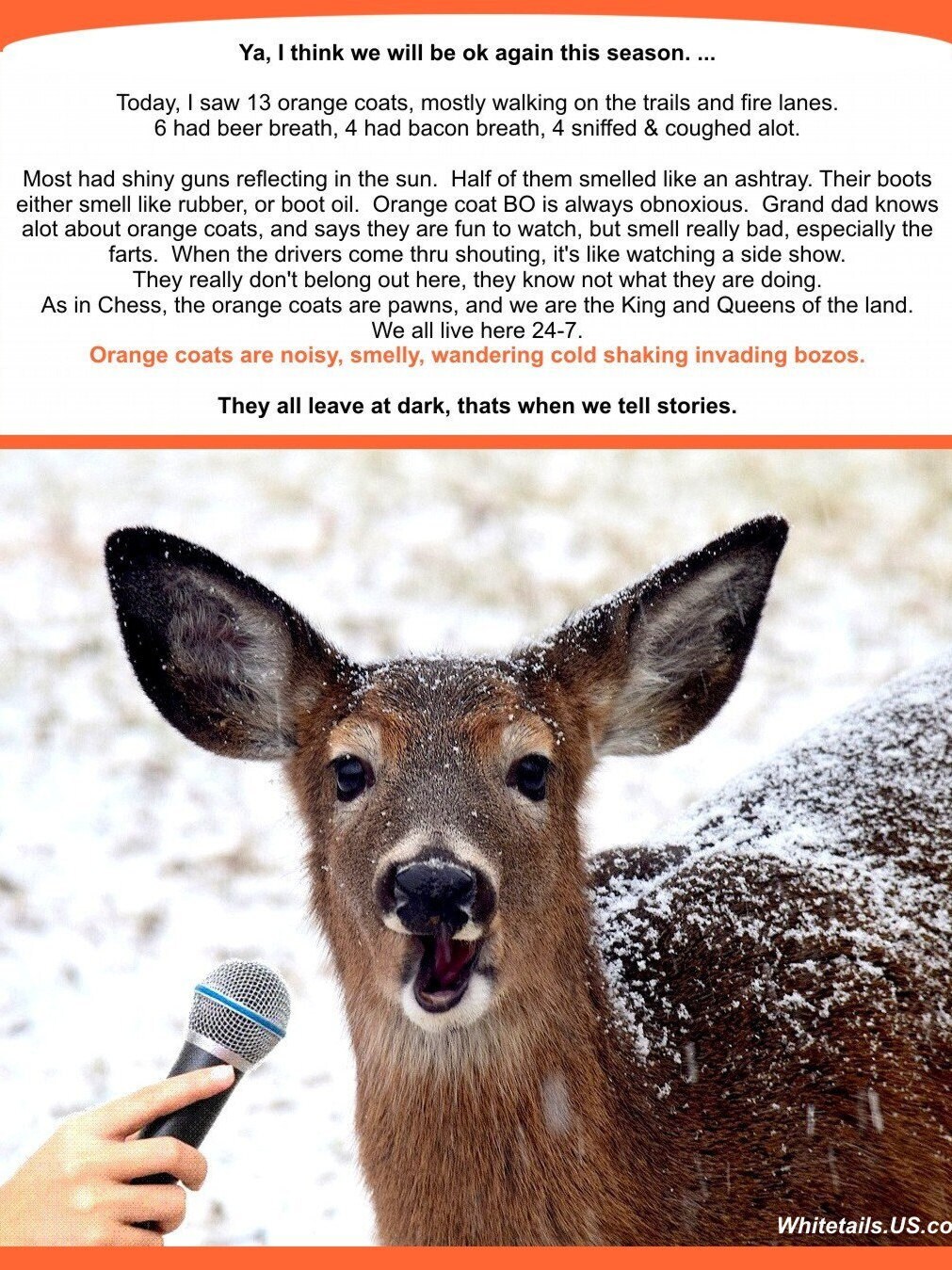 Coffee Mug ... Whitetail Deer Interview About Orange Coat Hunters. - Etsy