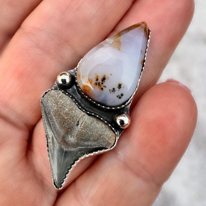 Shark Tooth Ring - Etsy