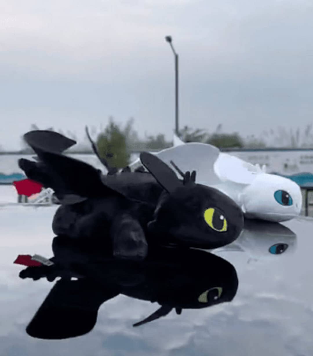Toothless Dragon Car Accessory and Plush Toy With Waving Wings How to ...