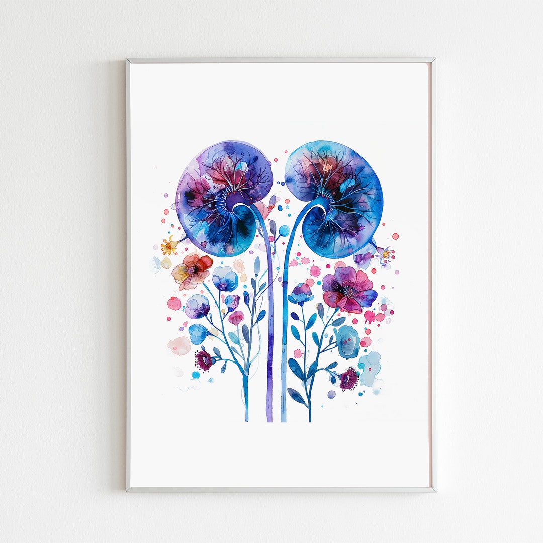 Kidney Art Print Urologist Office Decor Floral Kidney Anatomy Art ...