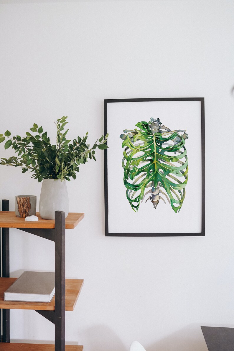 Rib Cage Monstera Art Print Thorax Wall Art Chiropractor Wall Decor ...