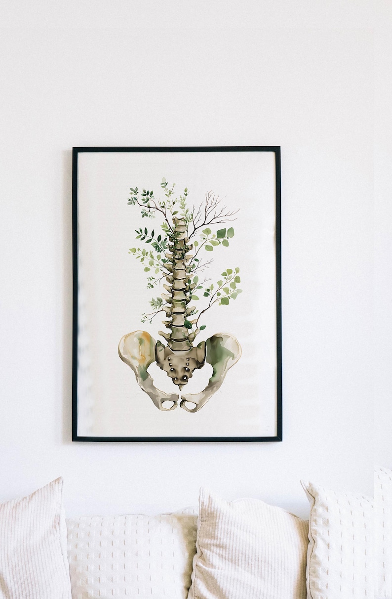 Pelvic Floor Art Print, Physical Therapy Office Decor, Pelvis Health ...